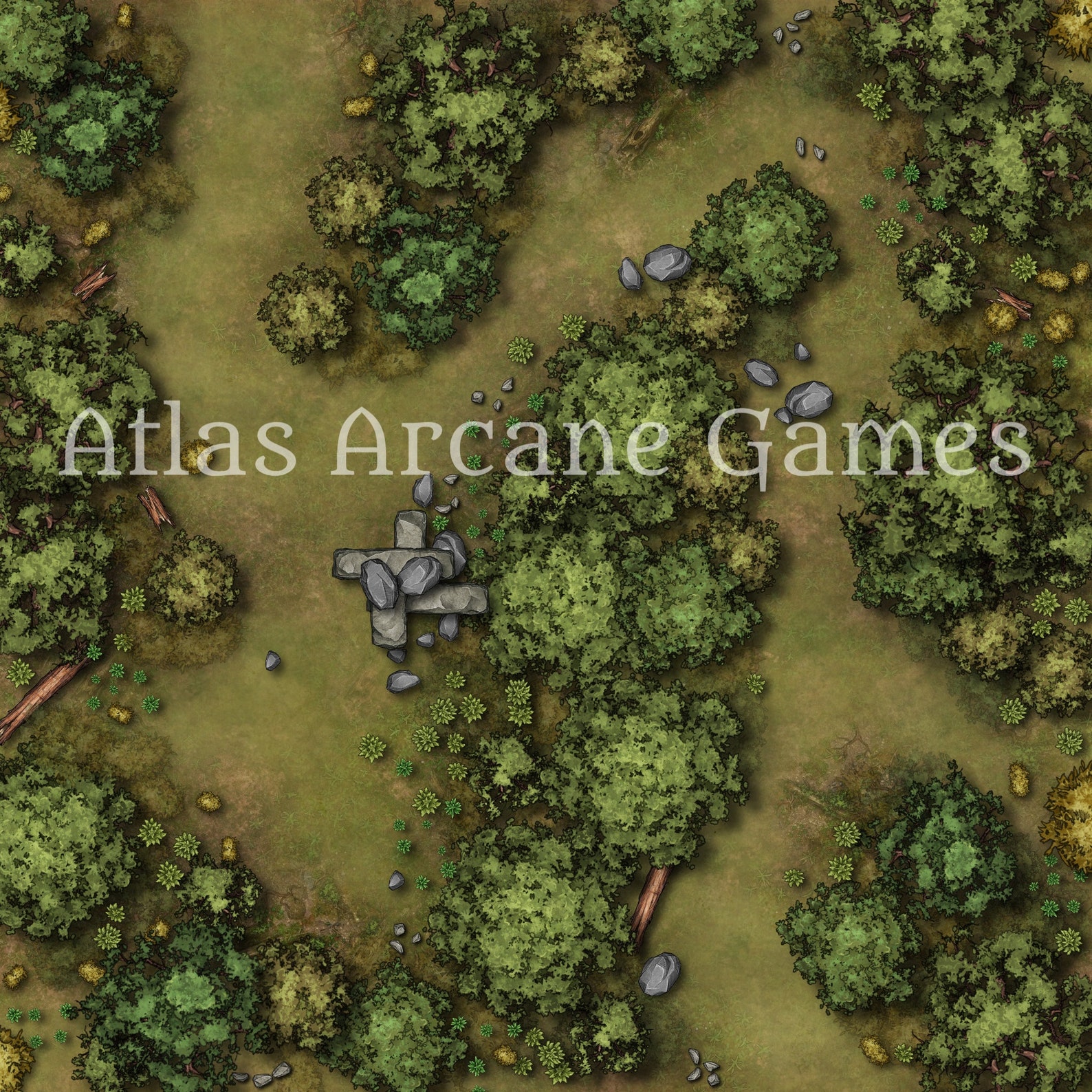 RPG Battle Map Forest Path Trail. Fantasy Role Playing Game, Instant ...