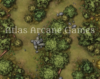 RPG Battle Map Mountain Trail Switchbacks. Fantasy Role Playing Game ...