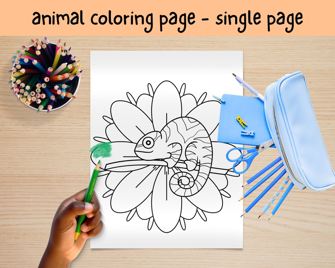 Printable Chameleon Animal Coloring Page Practice for Prek - Etsy Israel