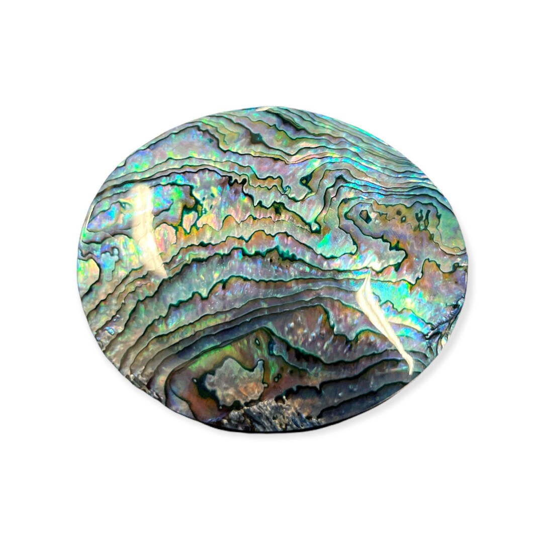 Vintage Abalone Shell Brooch Pin Natural Shell - Etsy