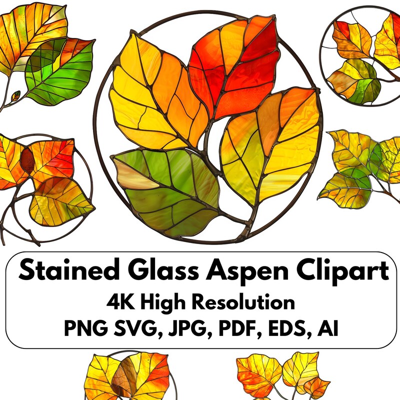 Aspen Tree Glass - Etsy