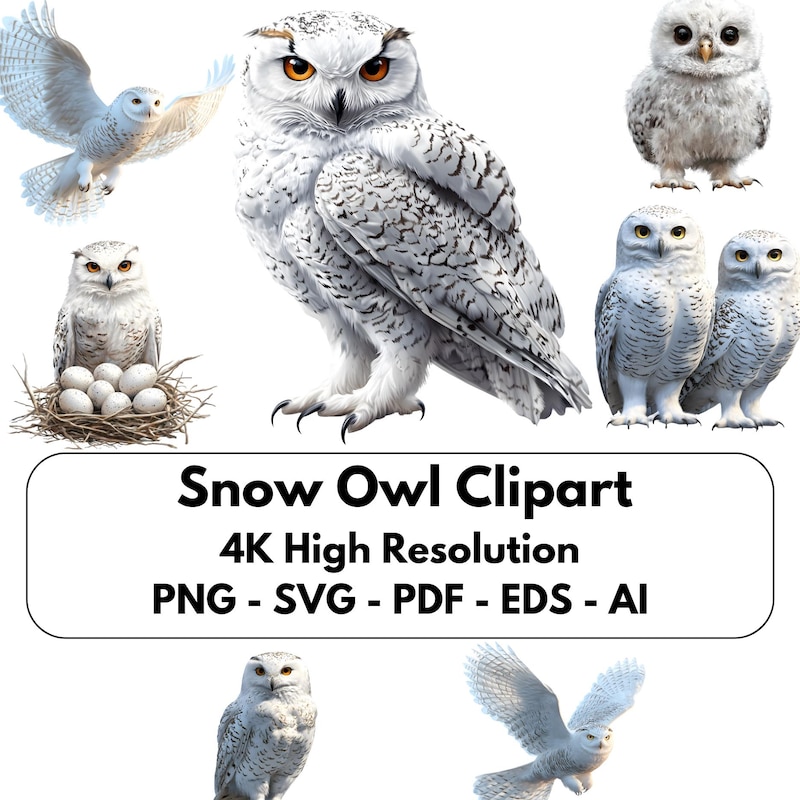 DigitalArtConcepts - Etsy