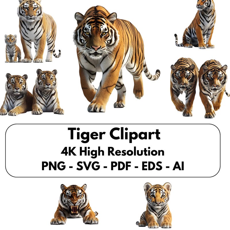 DigitalArtConcepts - Etsy