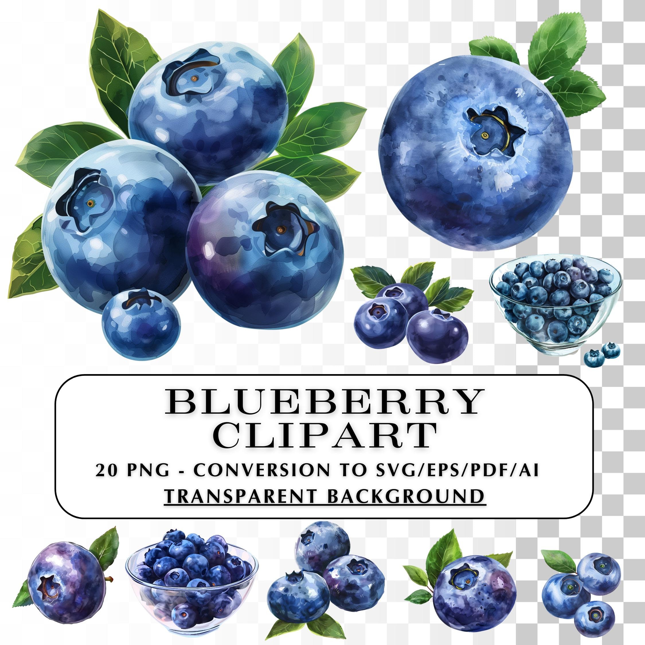 Watercolor Blueberry Clipart! 20 Vector Blueberry Clip Art, Vector ...