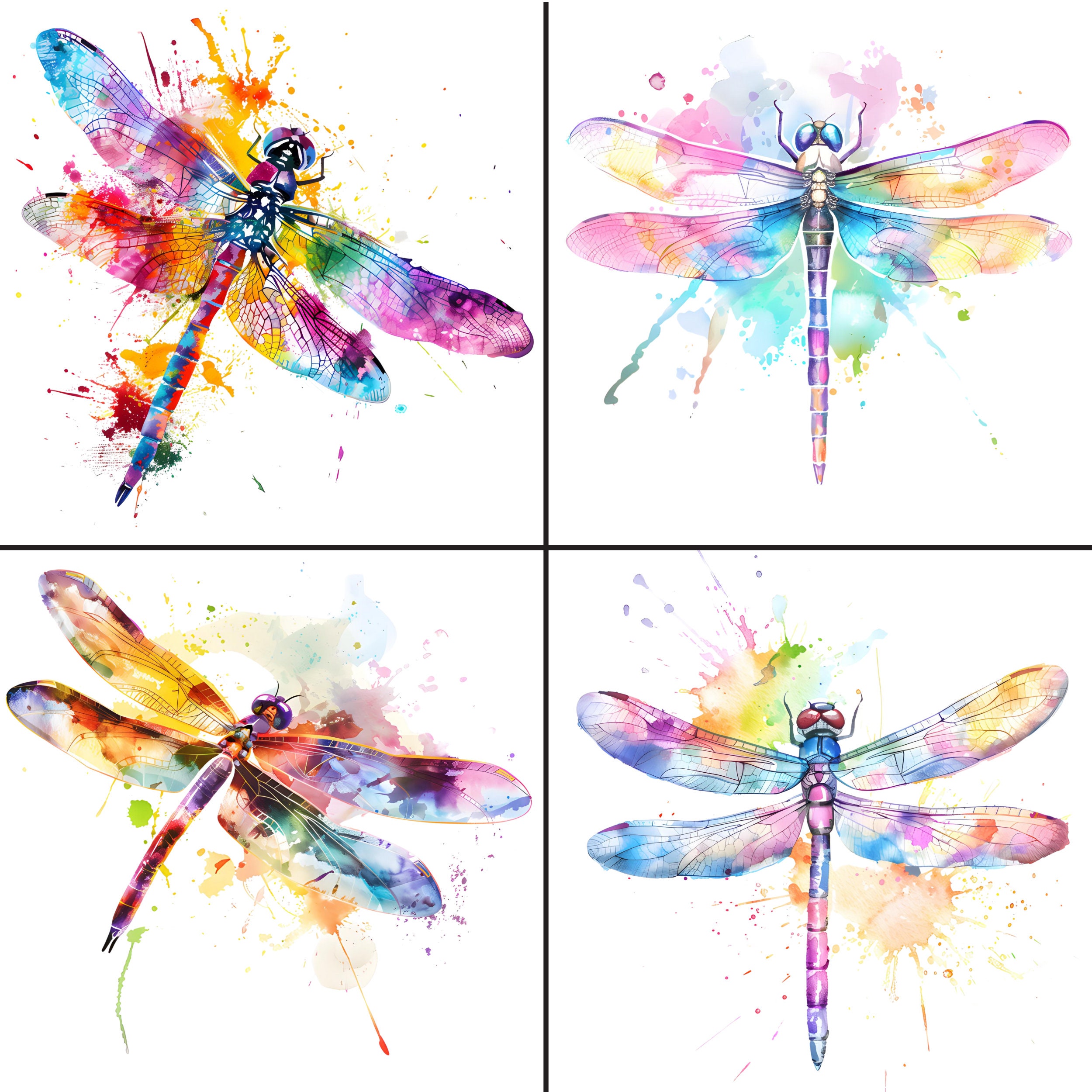 Dragonfly Clipart 36 Dragonfly PNG Images, Watercolor Splatter and ...