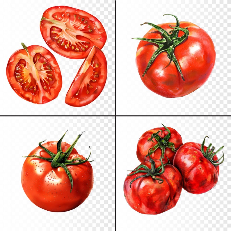 Tomato Clipart Bundle. 24 PNG Files With Transparent Backgrounds ...