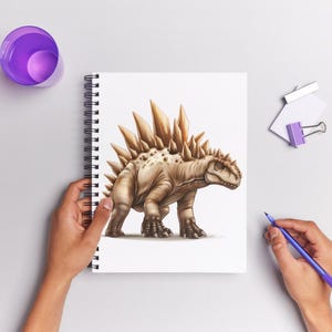 Stegosaurus Clipart! 12 Realistic Stegosaurus Dinosaur Clip Art. PNG ...