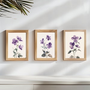 Violets Pressed Floral Art: 3 Piece Vintage Botanical Prints, Gallery ...