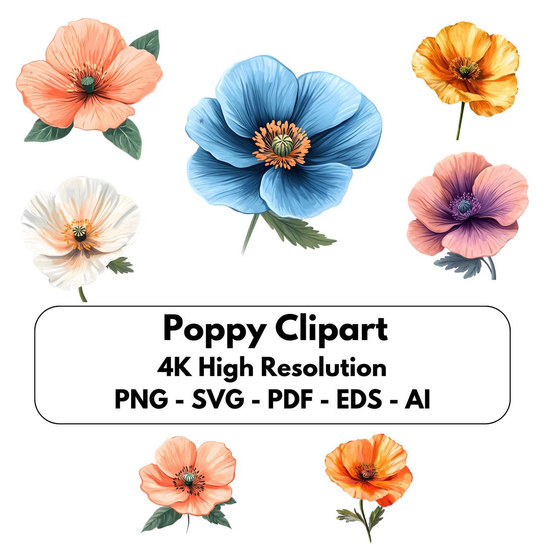 Poppy Clipart PNG, Poppies Clip Art SVG, Colorful Digital Flower for ...