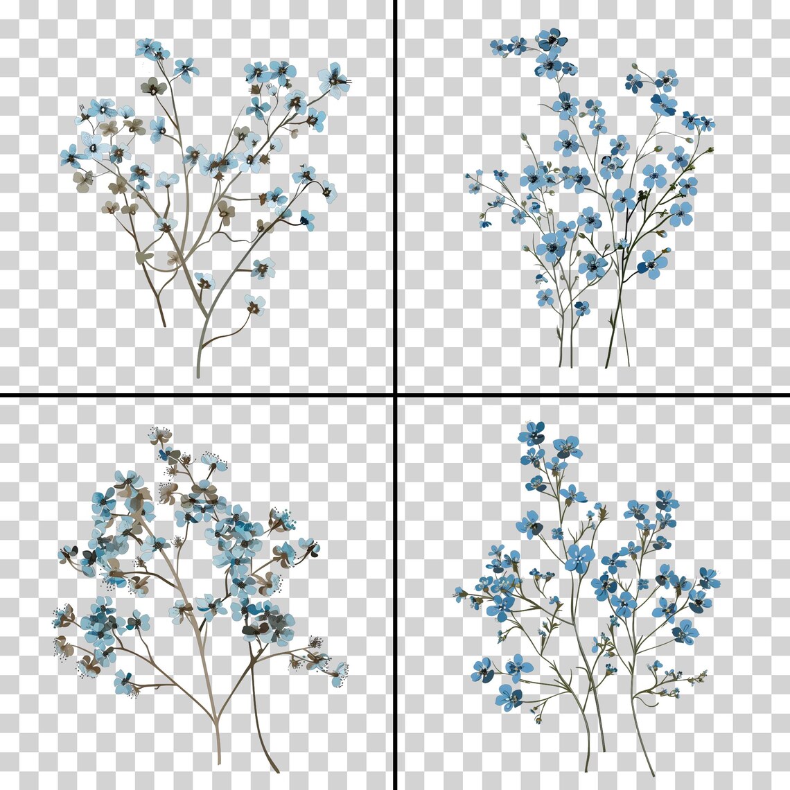 Forget Me Not Clipart! 4K PNG SVG Forget-me-not Flower Clip Art! Vector ...