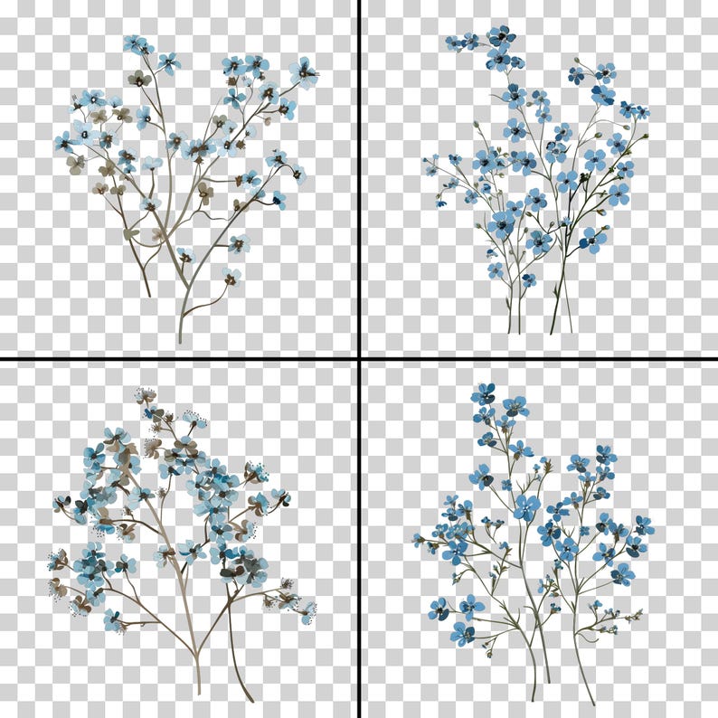 Forget Me Not Clipart! 4K PNG SVG Forget-me-not Flower Clip Art! Vector ...