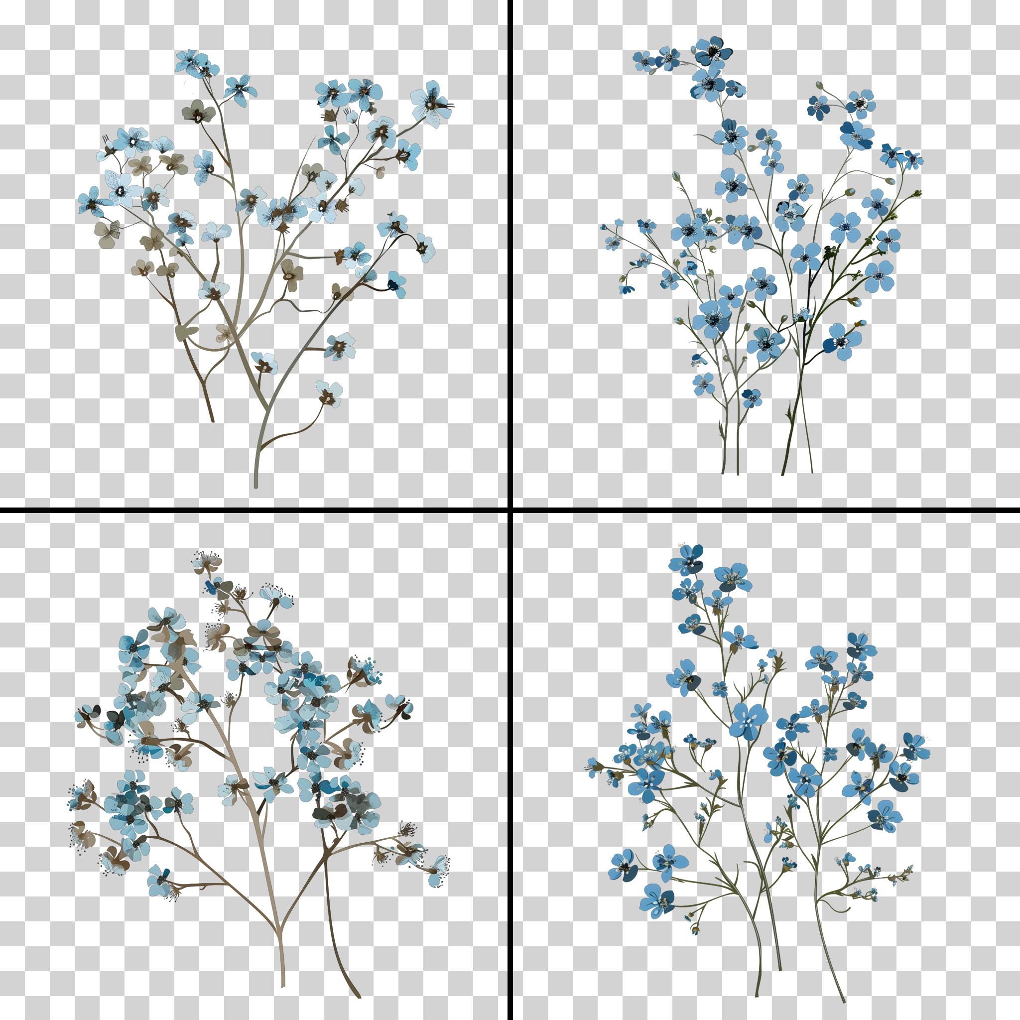 Forget Me Not Clipart! 4K PNG SVG Forget-me-not Flower Clip Art! Vector ...