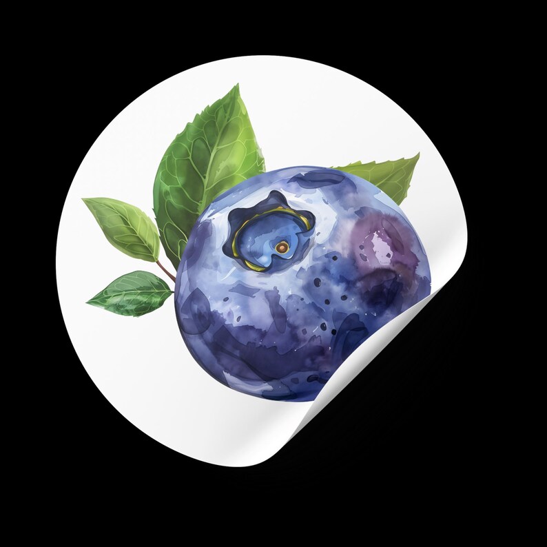 Watercolor Blueberry Clipart! 20 Vector Blueberry Clip Art, Vector ...