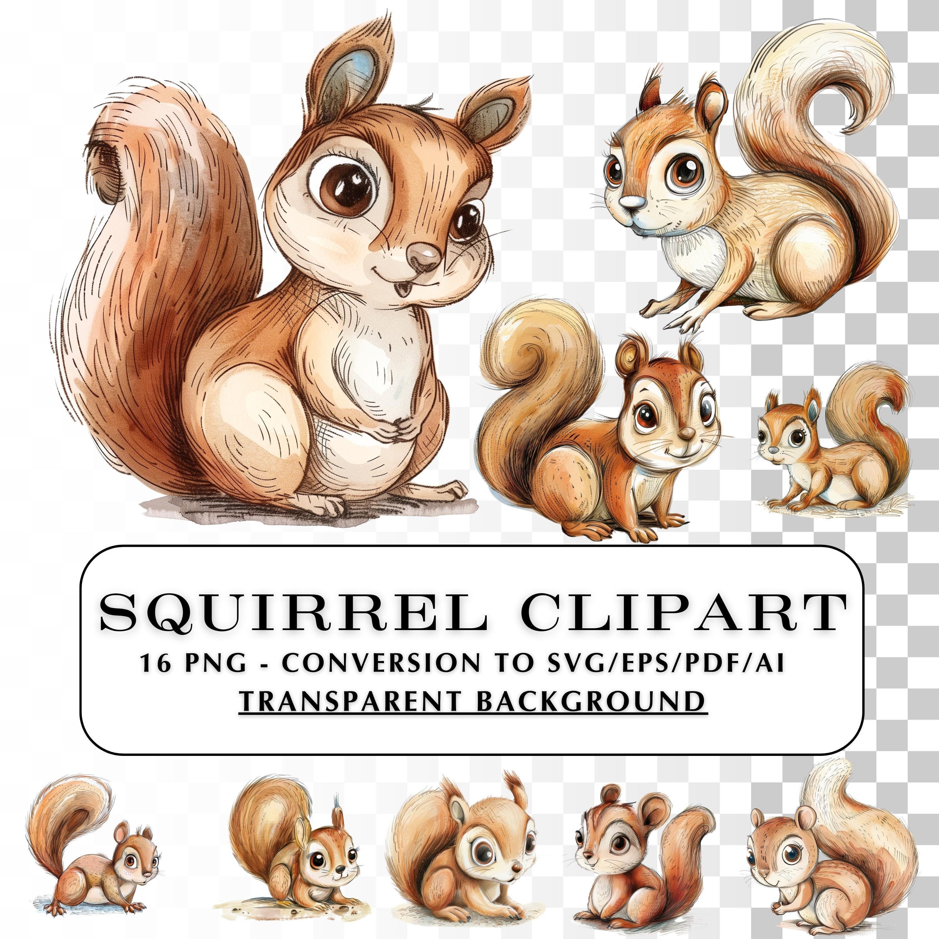 Cute Squirrel Clipart Png
