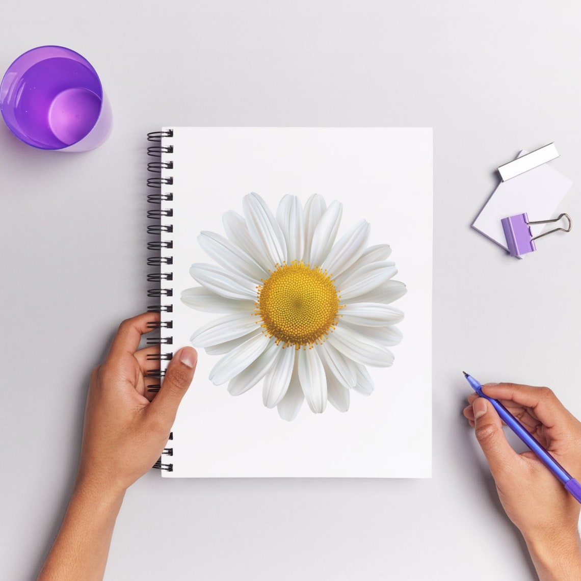 Daisy Clip Art 28 Realistic Daisy Clipart Images and Graphics. PNG, SVG ...