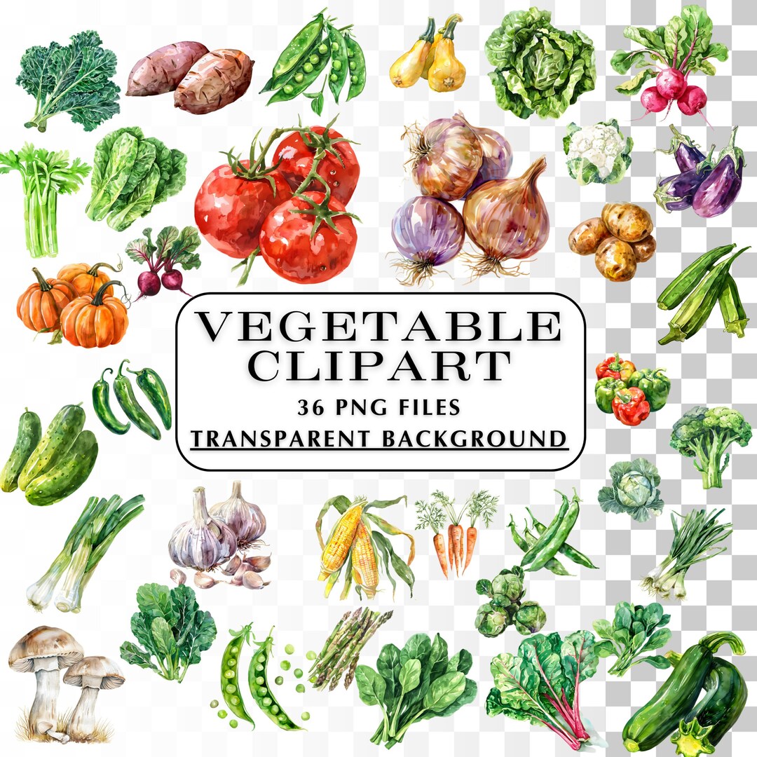 Veggie Clipart Bundle - 36 Hand-drawn Style Vegetable Clip Art Vector ...