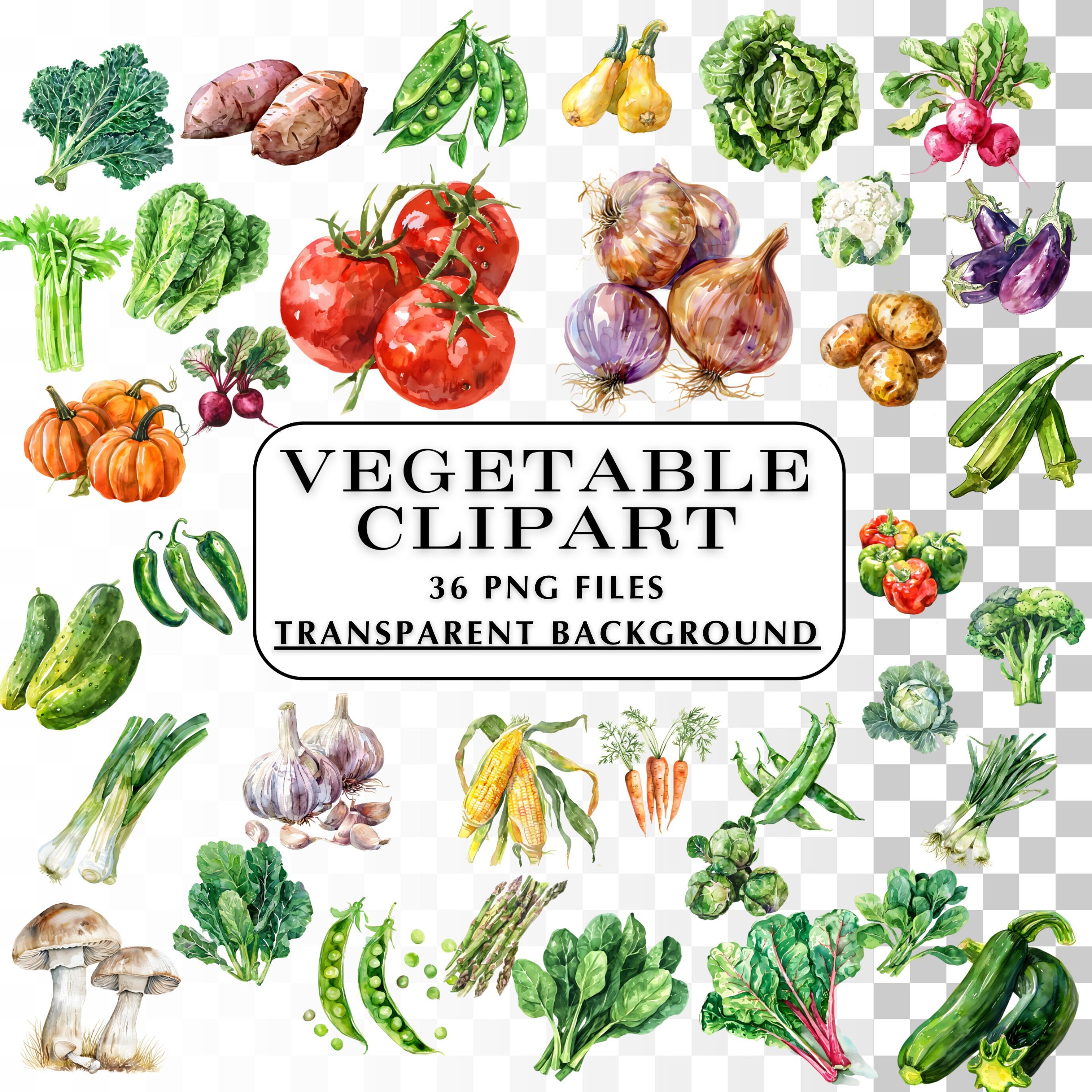 Veggie Clipart Bundle - 36 Hand-drawn Style Vegetable Clip Art Vector ...