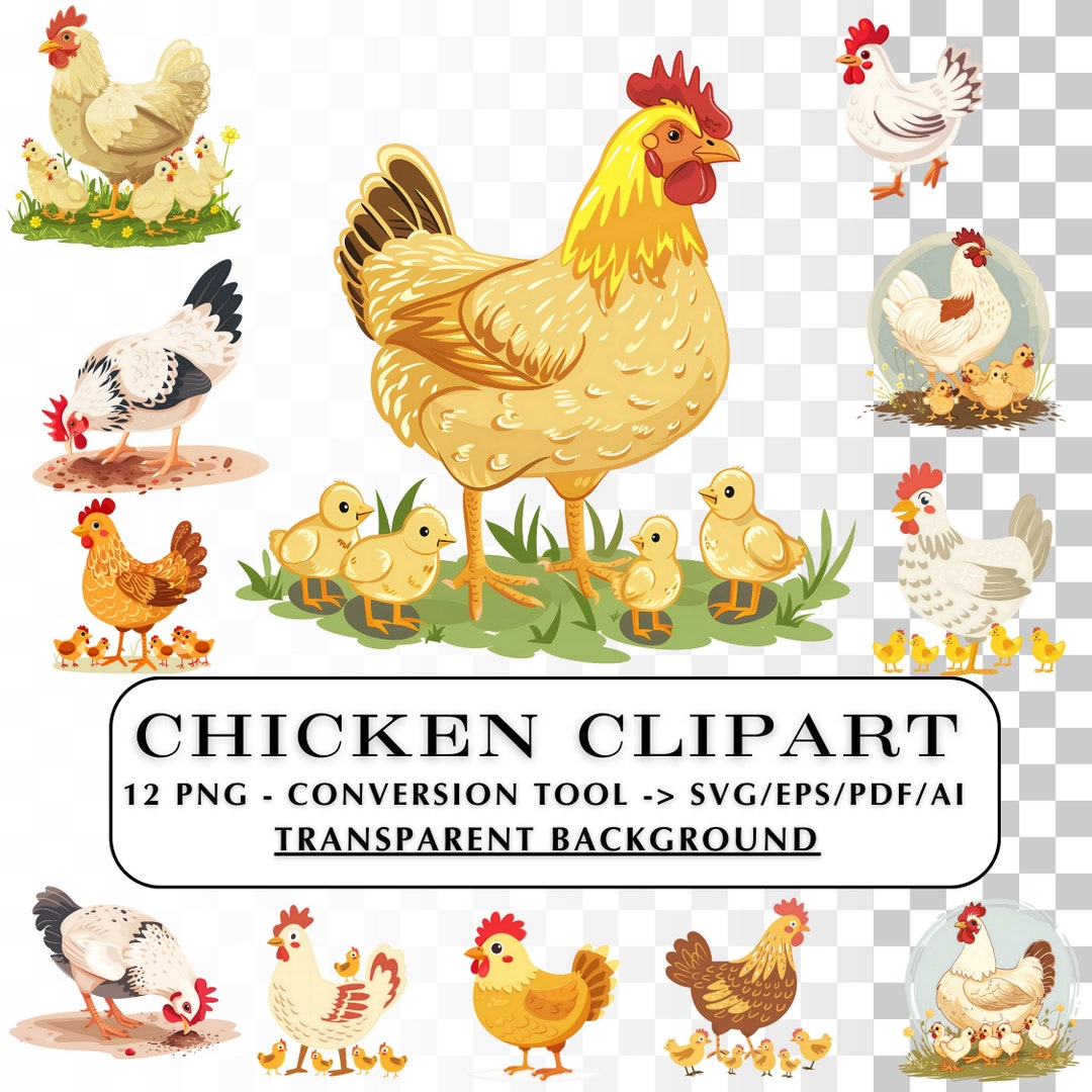 Chicken Clipart - 12 Chicken Clip Art Images. PNG Files Used for Your ...