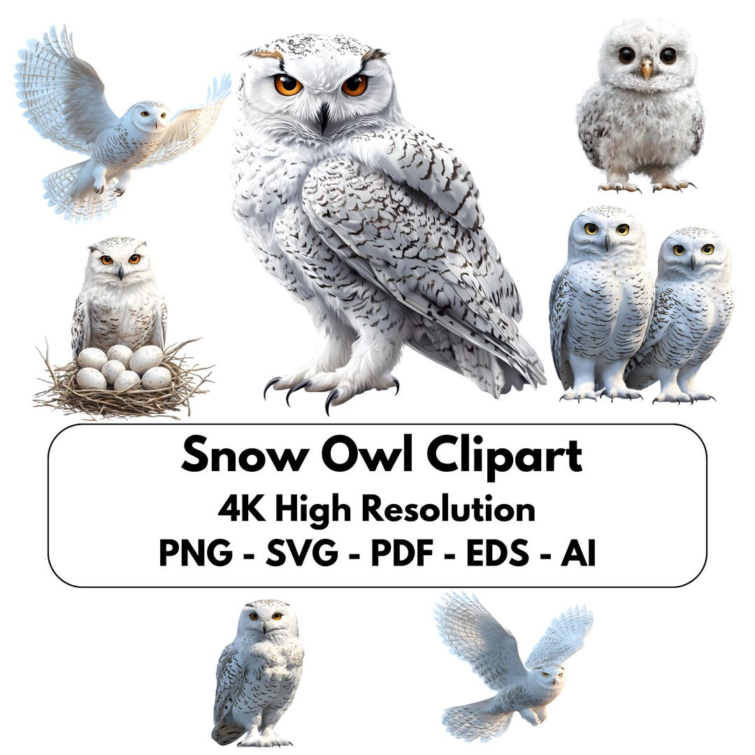 Snow Owl Clip Art! High Res Winter Owl Clipart. Realistic Owls in PNG ...