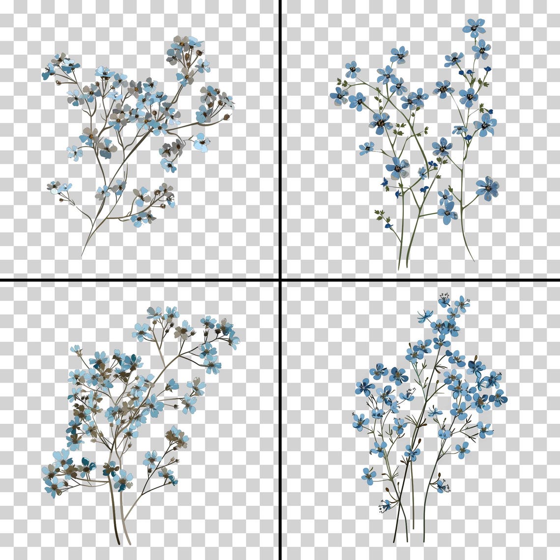 Forget Me Not Clipart! 4K PNG SVG Forget-me-not Flower Clip Art! Vector ...