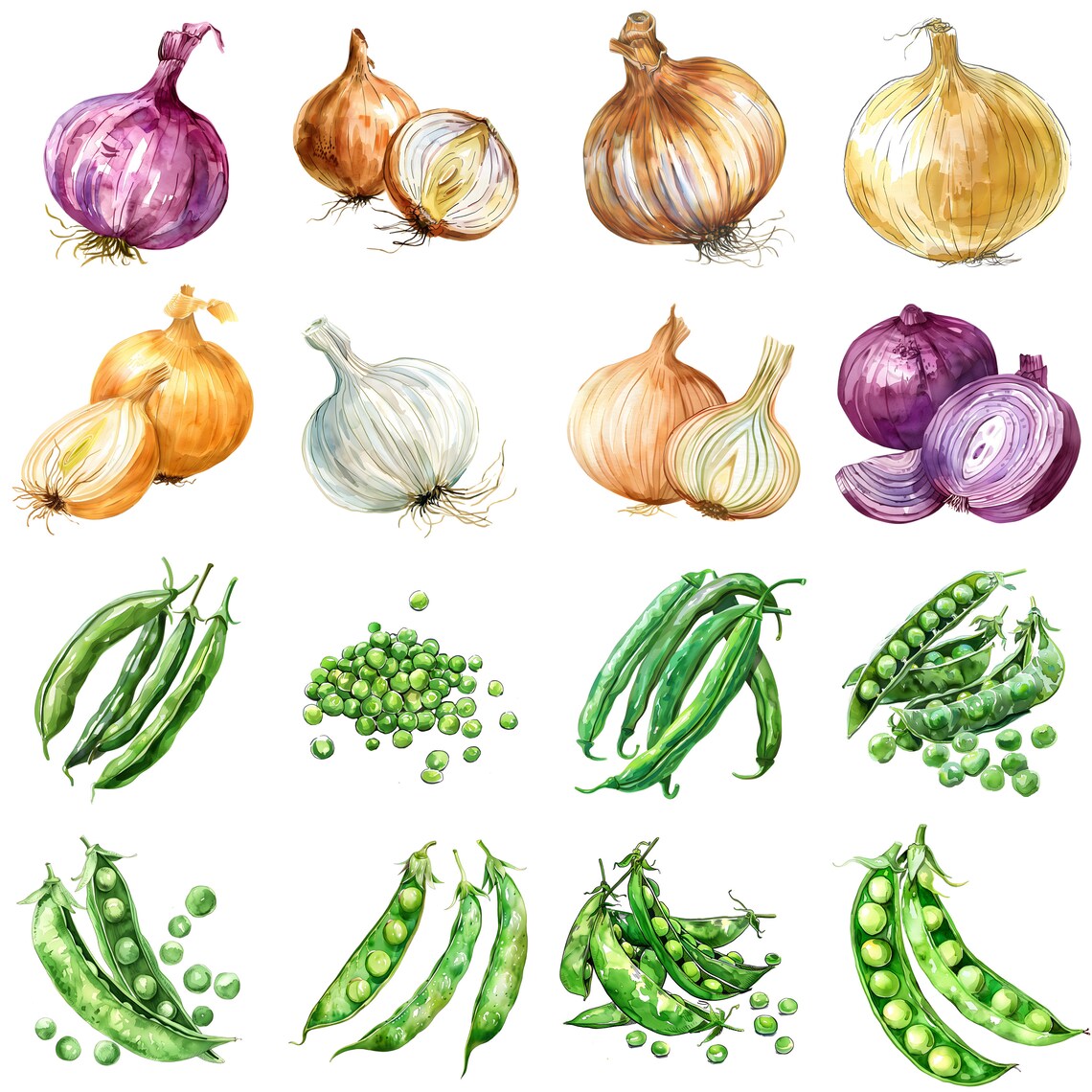 Vegetable Clipart - 144 Colored Pencil Images of of Vegetable PNG ...