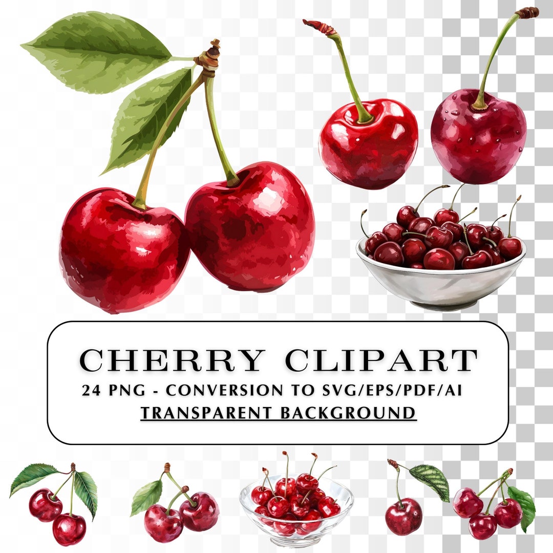 Watercolor Cherry Clipart! 24 Realistic Red Cherry Clip Art! PNG ...