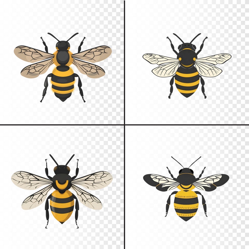 Bumblebee Clipart. 36 Transparent Background, Honeybee Images ...