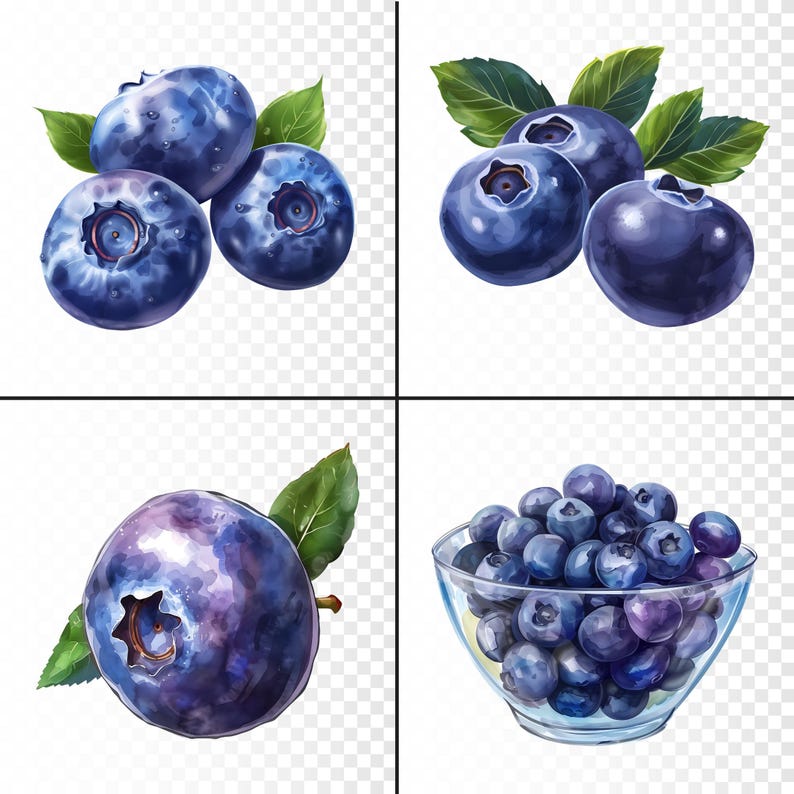 Watercolor Blueberry Clipart! 20 Vector Blueberry Clip Art, Vector ...