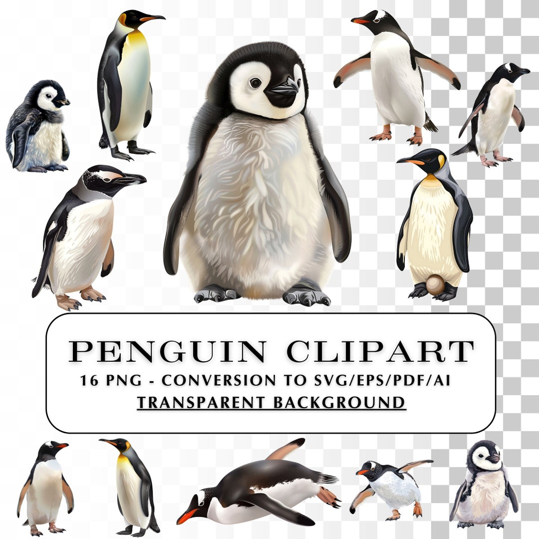 Realistic Penguin Clipart! 16 Penguin Clip Art Images, Variety of Types ...