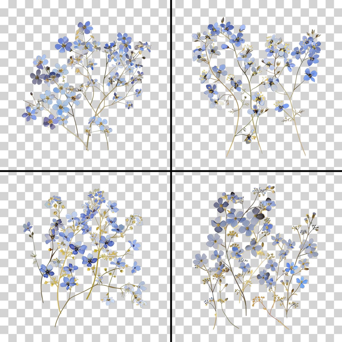 Forget Me Not Clipart! 4K PNG SVG Forget-me-not Flower Clip Art! Vector ...