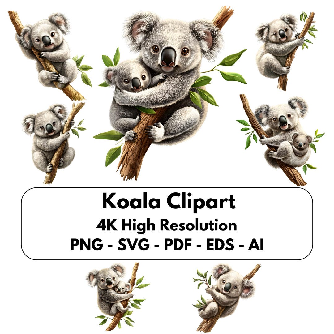 Koala Bear Clipart | Koala Clip Art. Cute and Fun Koalas SVG PNG for ...