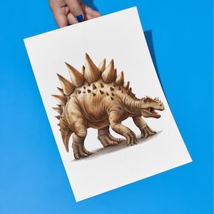 Stegosaurus Clipart! 12 Realistic Stegosaurus Dinosaur Clip Art. PNG ...