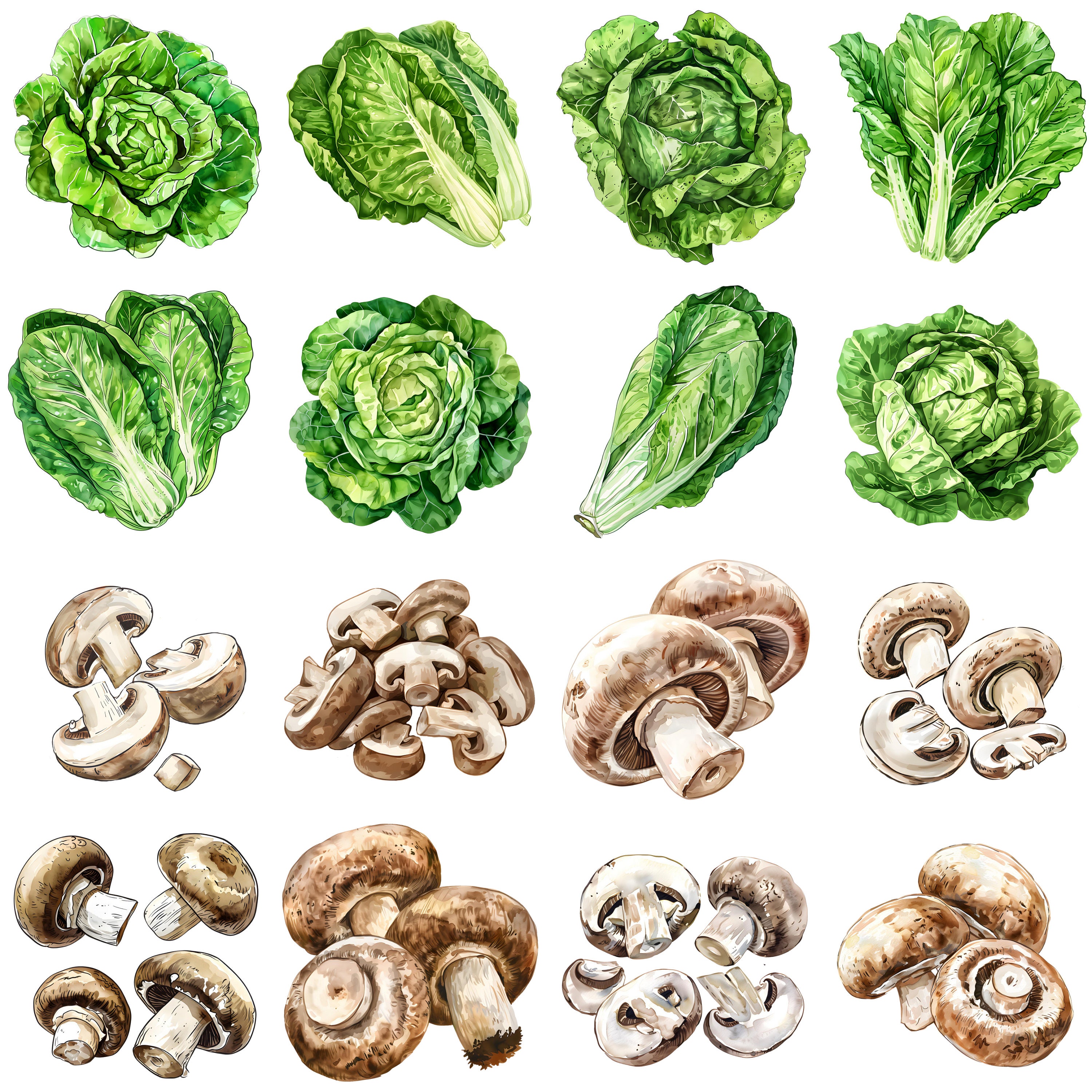 Vegetable Clipart - 144 Colored Pencil Images of of Vegetable PNG ...