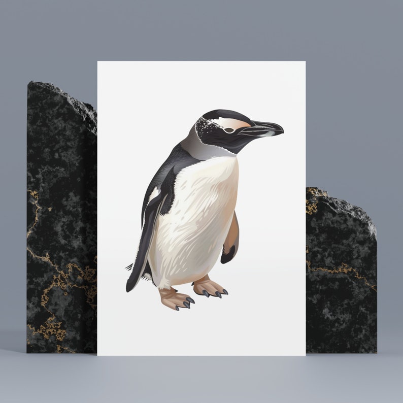 Realistic Penguin Clipart! 16 Penguin Clip Art Images, Variety of Types ...