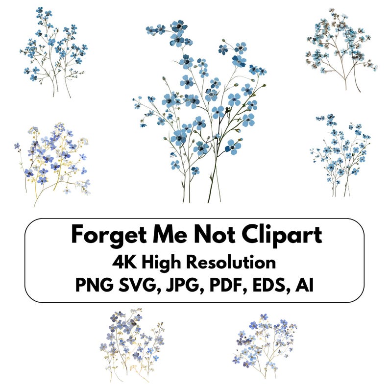 Forget Me Not Clipart! 4K PNG SVG Forget-me-not Flower Clip Art! Vector ...