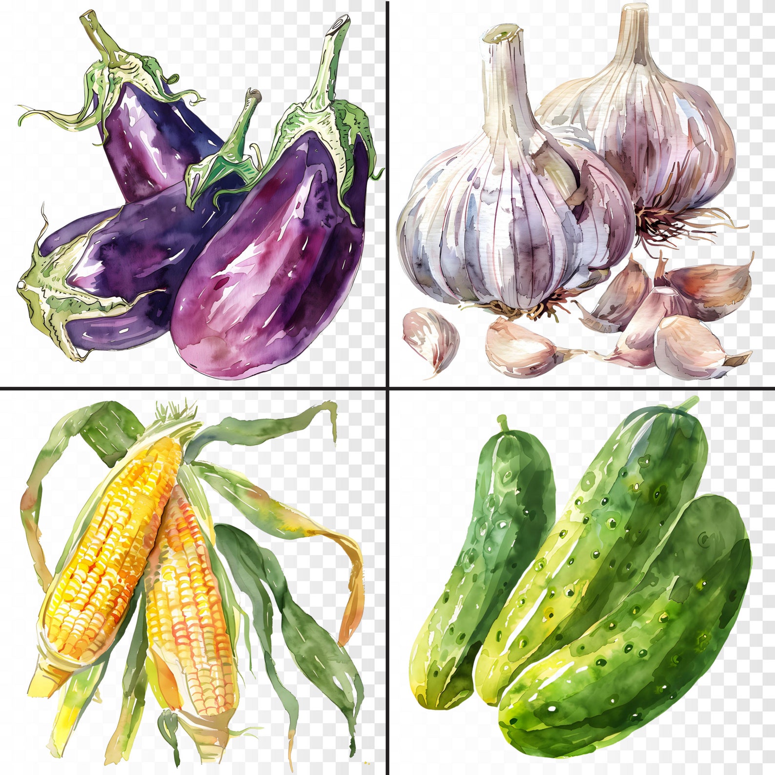 Veggie Clipart Bundle - 36 Hand-drawn Style Vegetable Clip Art Vector ...