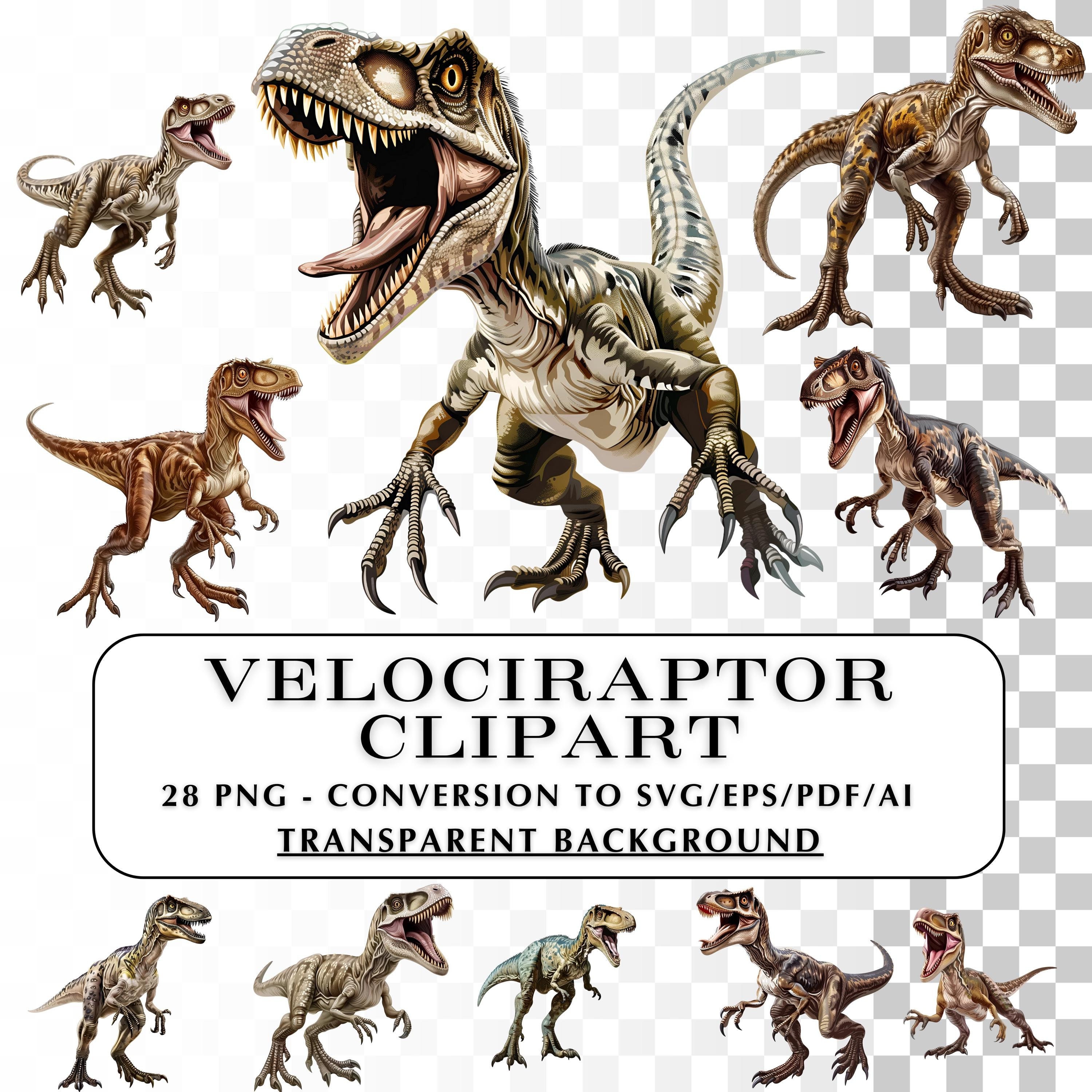Velociraptor Dinosaur Clipart! 28 Velociraptor PNG Images, Realistic ...