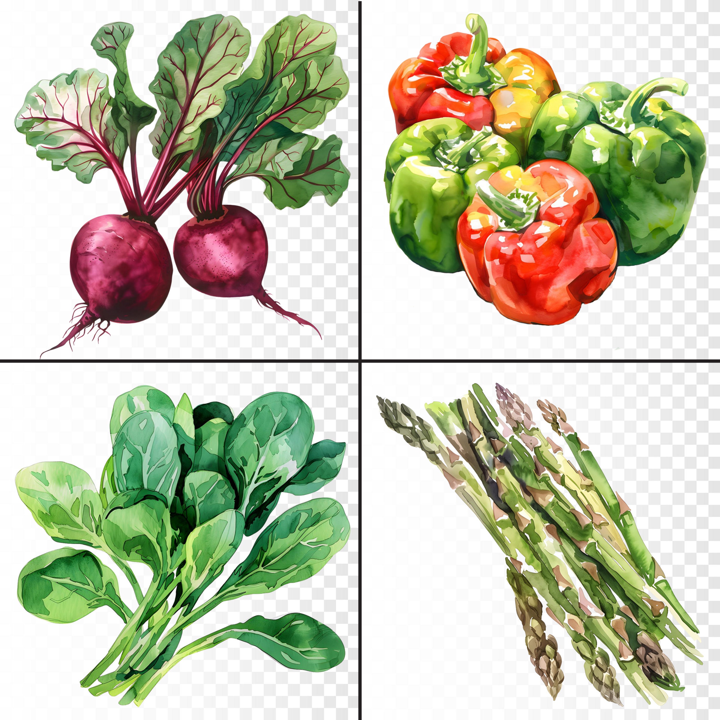 Veggie Clipart Bundle - 36 Hand-drawn Style Vegetable Clip Art Vector ...