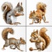 Squirrel Clipart 12 Realistic Squirrel PNG Images With Transparent ...