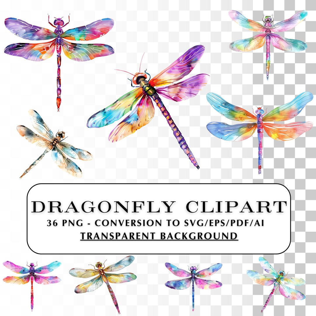 Dragonfly Images! 36 Dragonfly Clipart Graphics Bundle. Colorful Insect ...
