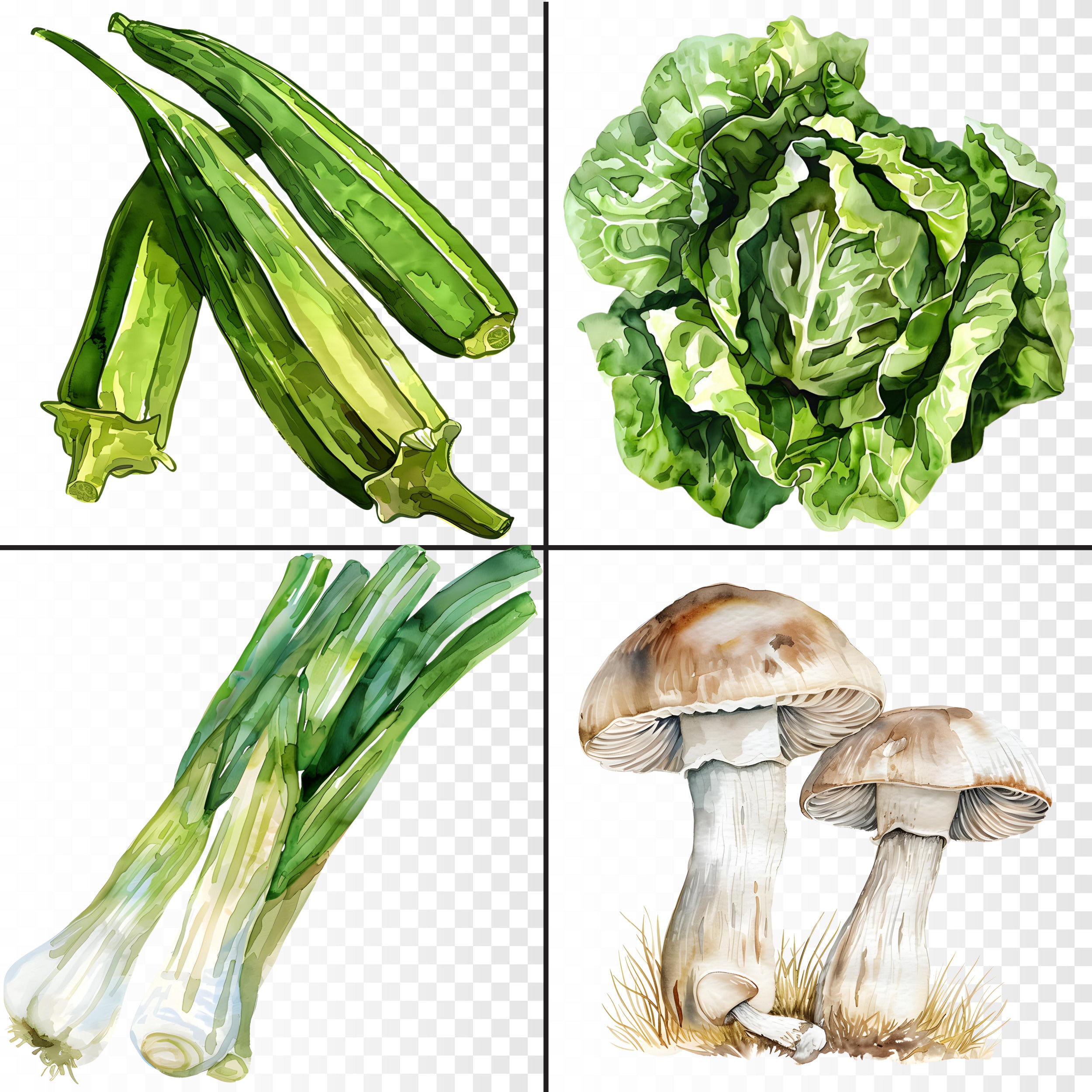 Veggie Clipart Bundle 36 Hand-drawn Style Vegetable Clip Art Vector ...