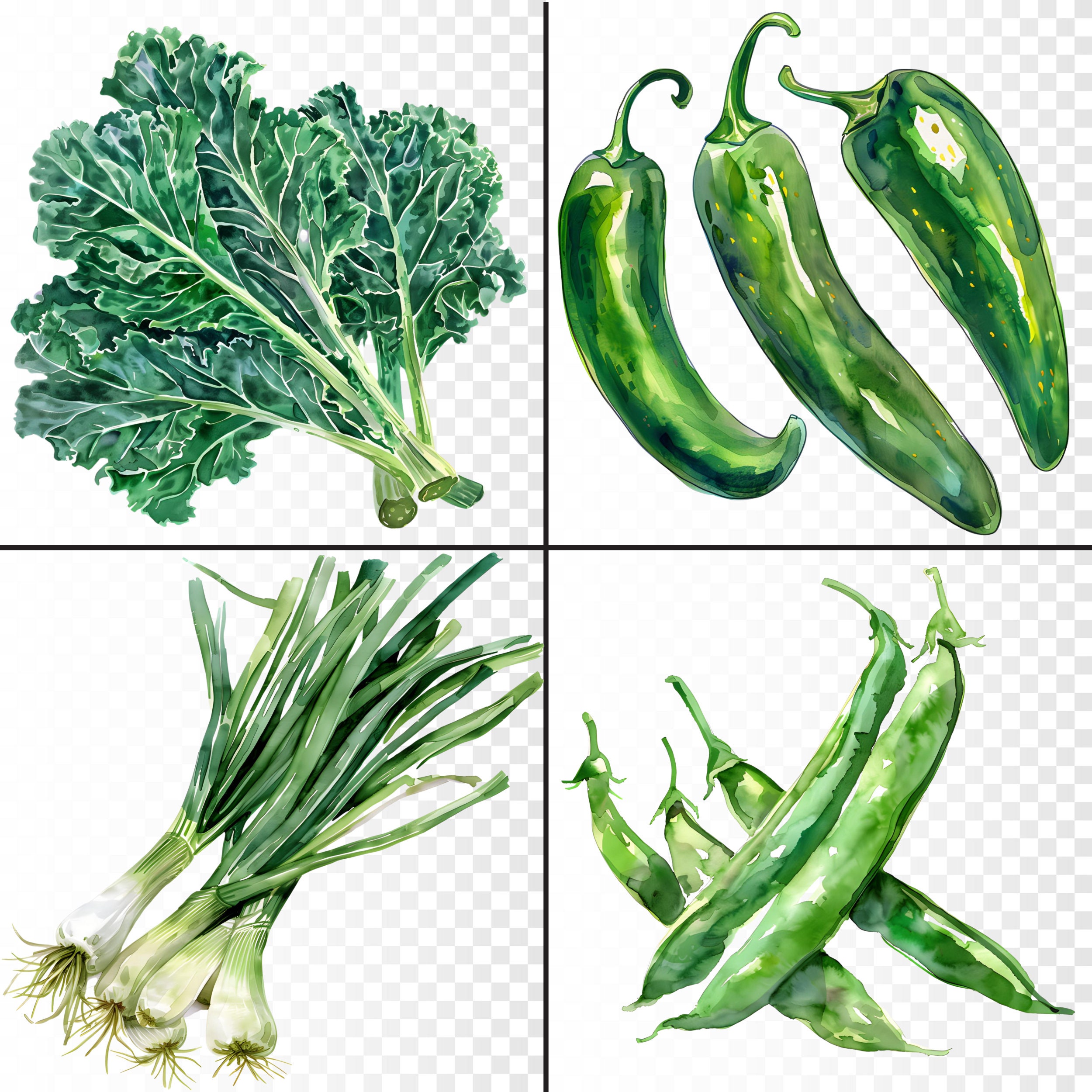 Veggie Clipart Bundle 36 Hand-drawn Style Vegetable Clip Art Vector ...