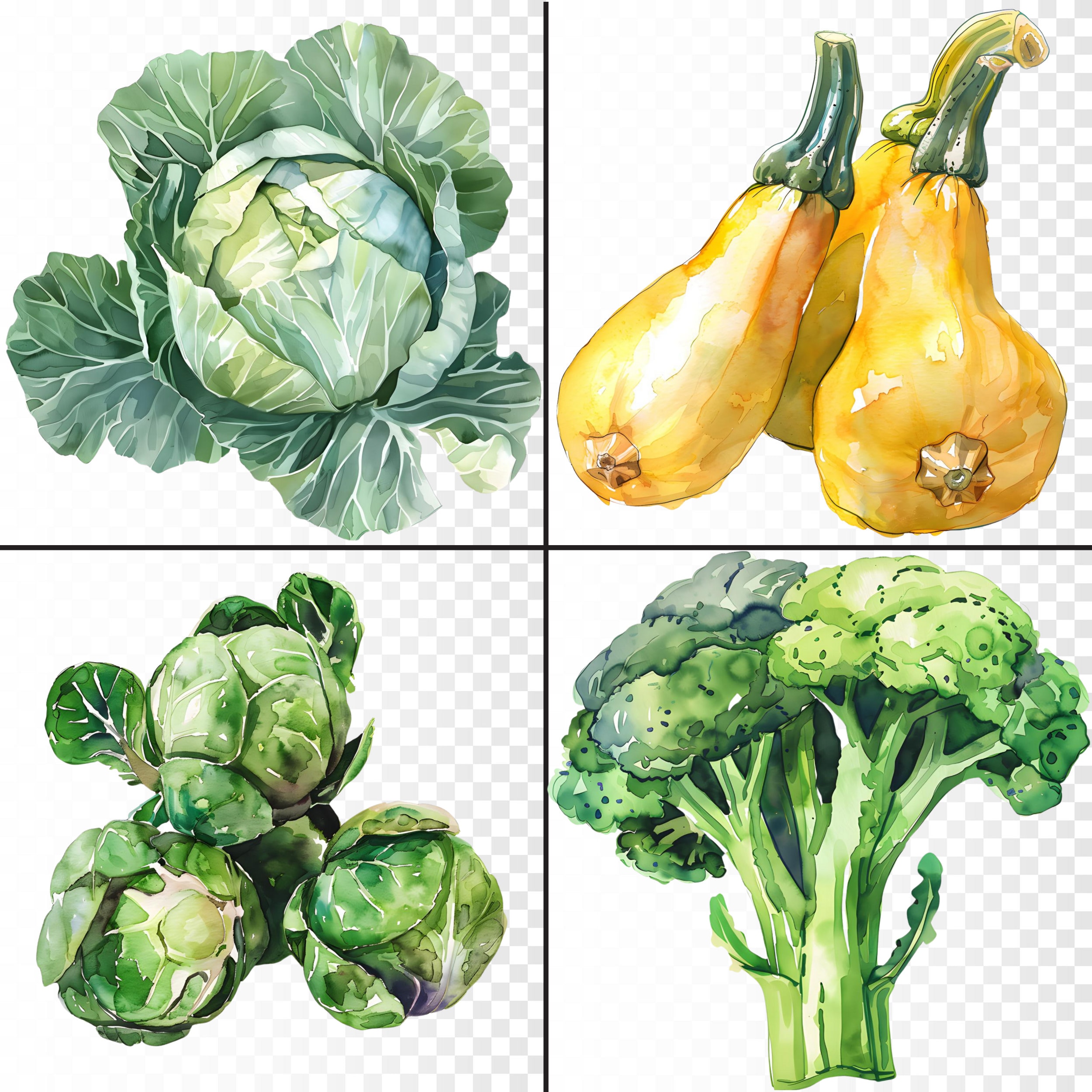 Veggie Clipart Bundle - 36 Hand-drawn Style Vegetable Clip Art Vector ...