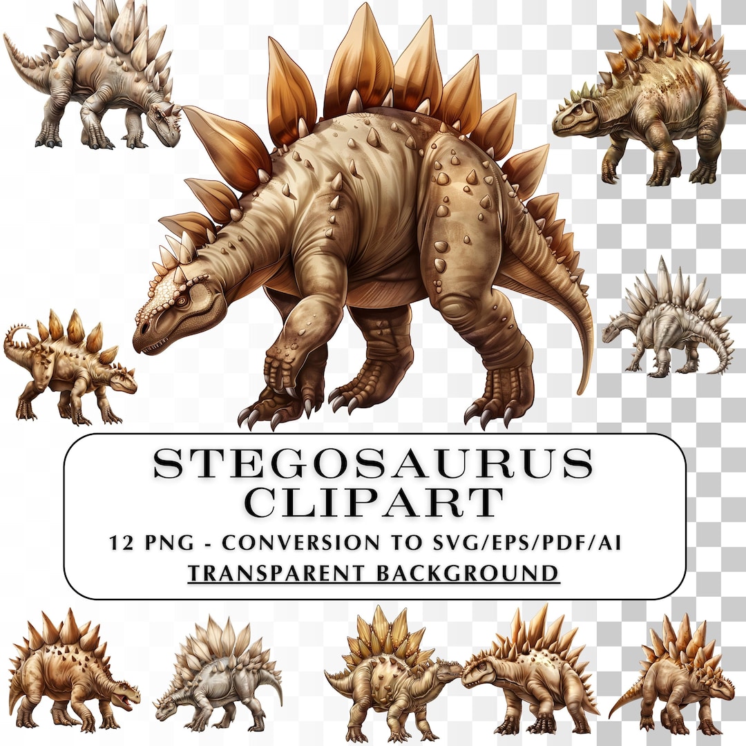 Stegosaurus Clipart! 12 Realistic Stegosaurus Dinosaur Clip Art. PNG ...