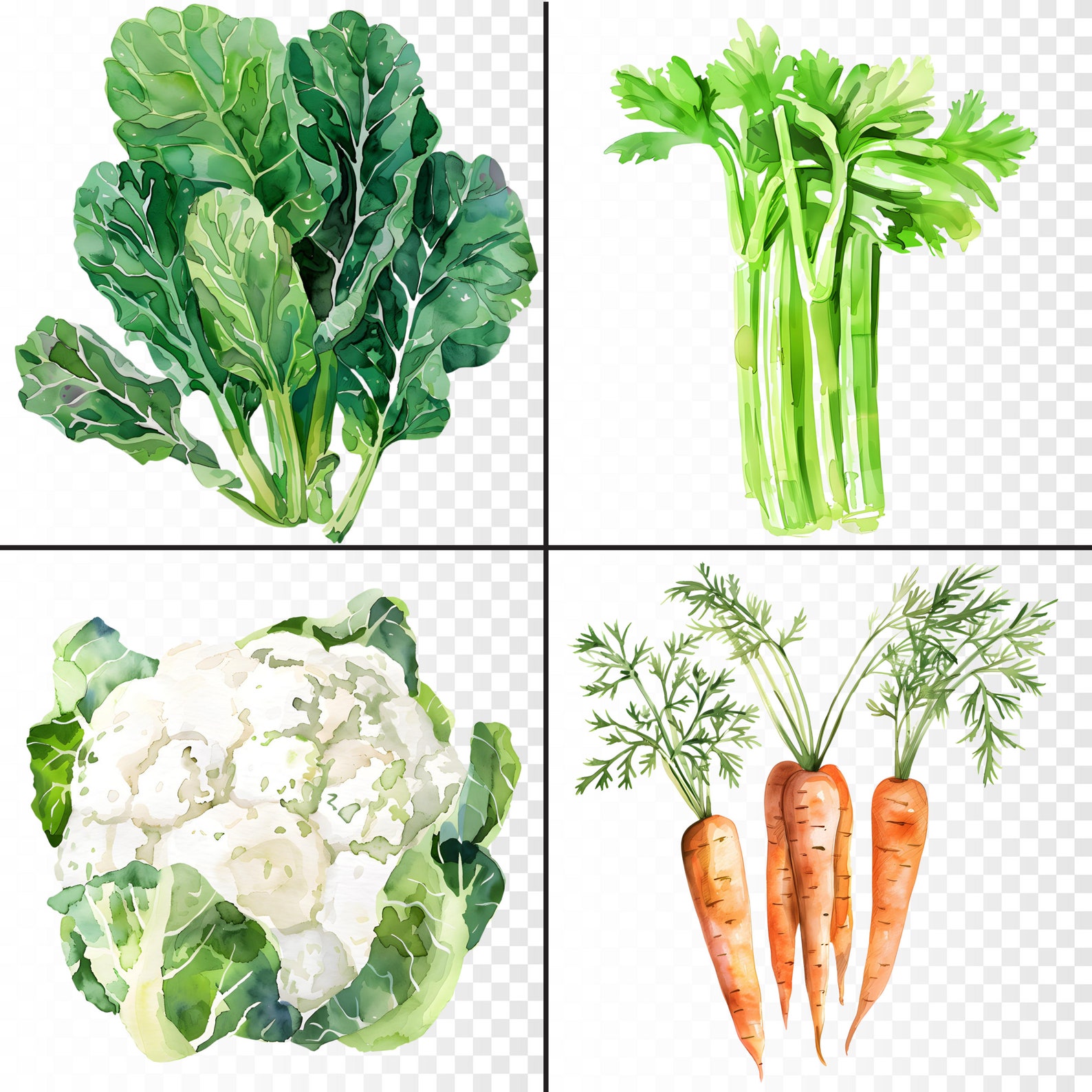 Veggie Clipart Bundle - 36 Hand-drawn Style Vegetable Clip Art Vector ...