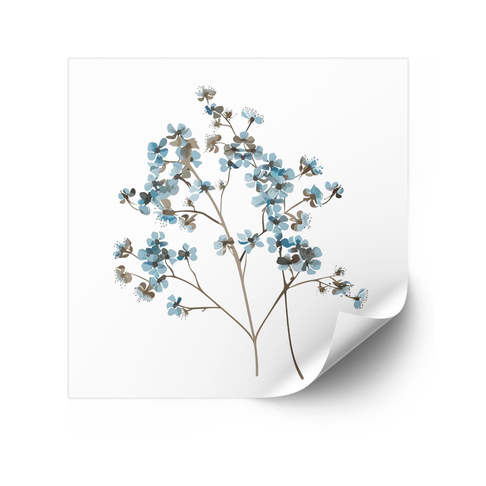 Forget Me Not Clipart! 4K PNG SVG Forget-me-not Flower Clip Art! Vector ...