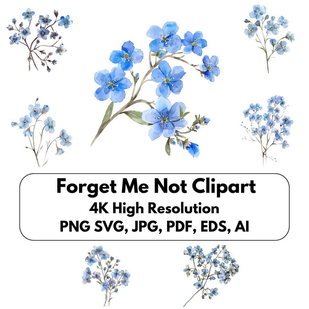 Forgetmenot Clipart! 4K High Definition Images of Forget Me Not Flowers ...