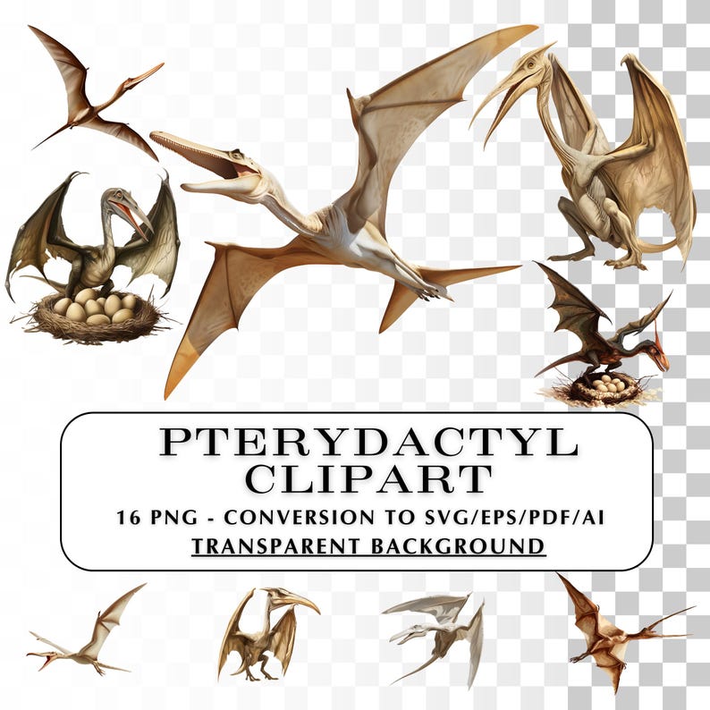 Pterodactyl Clipart! 4K Pterodactyl PNG Images and Graphics. Commercial ...