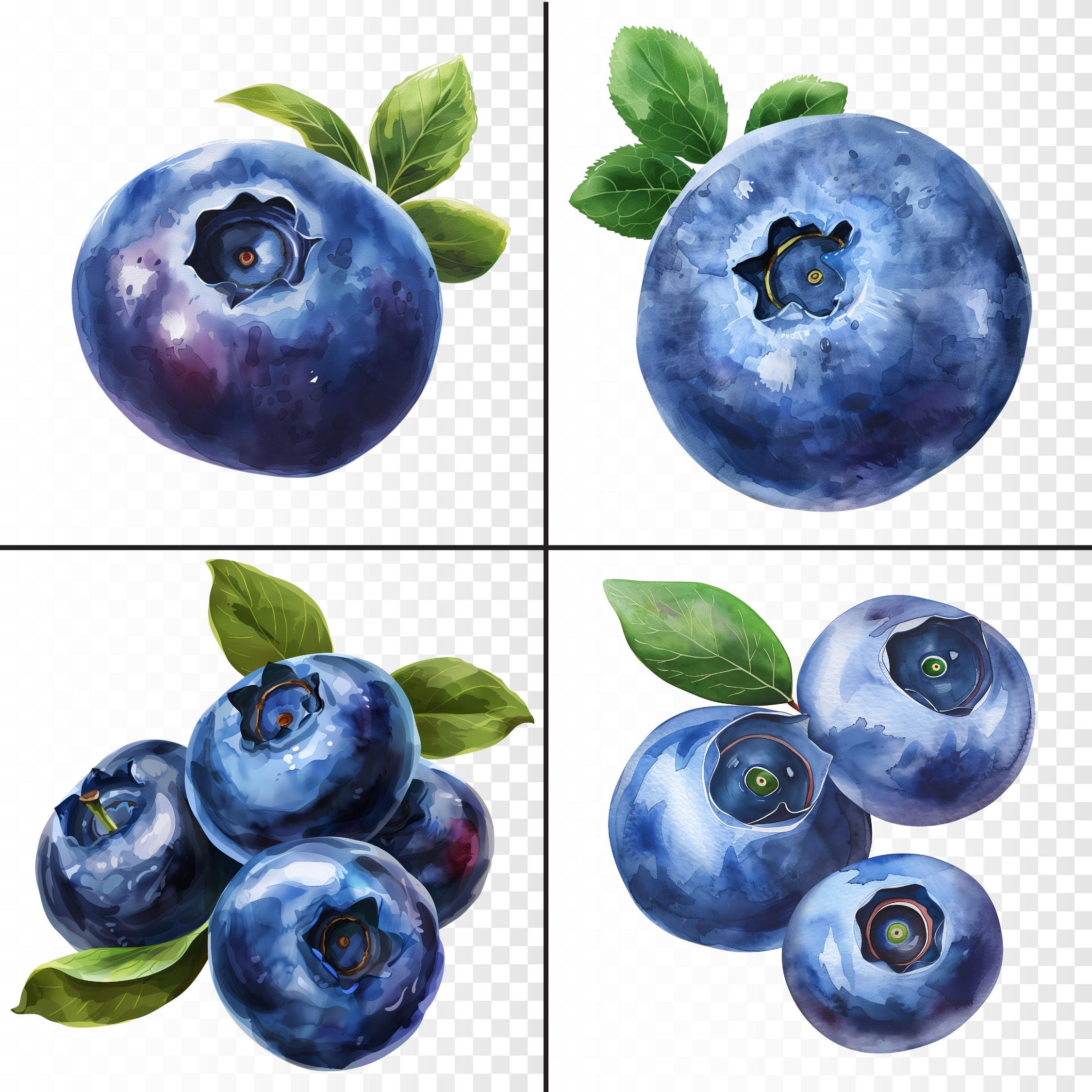 Watercolor Blueberry Clipart! 20 Vector Blueberry Clip Art, Vector ...
