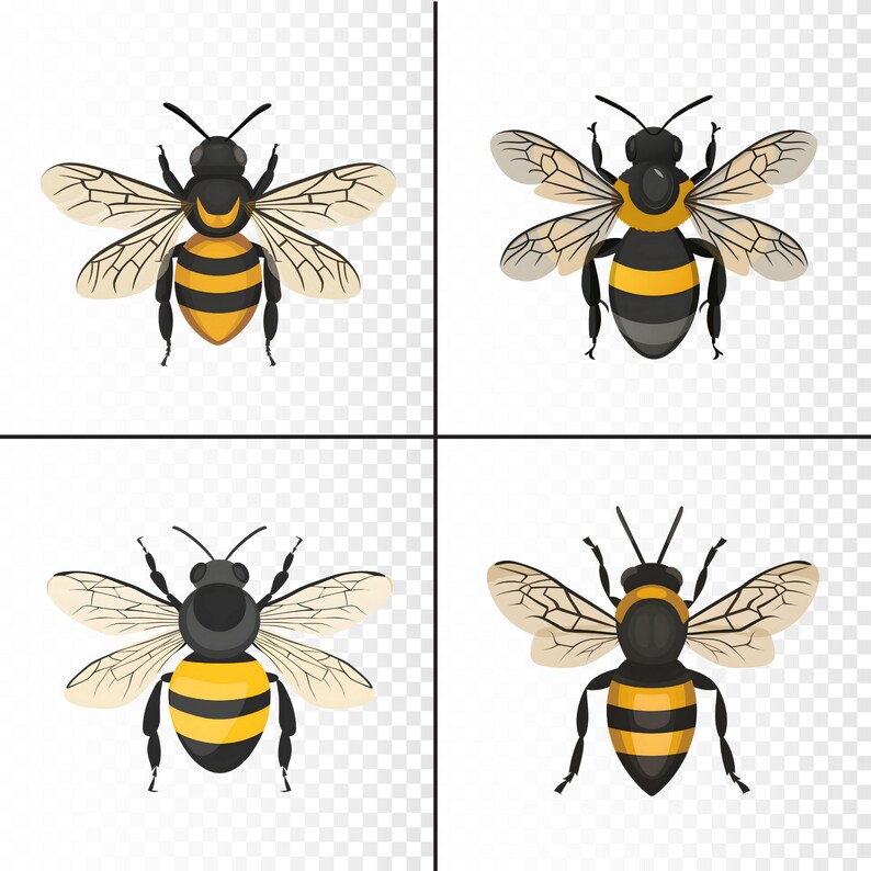 Bumblebee Clipart! 36 Transparent Background, Honeybee Images ...